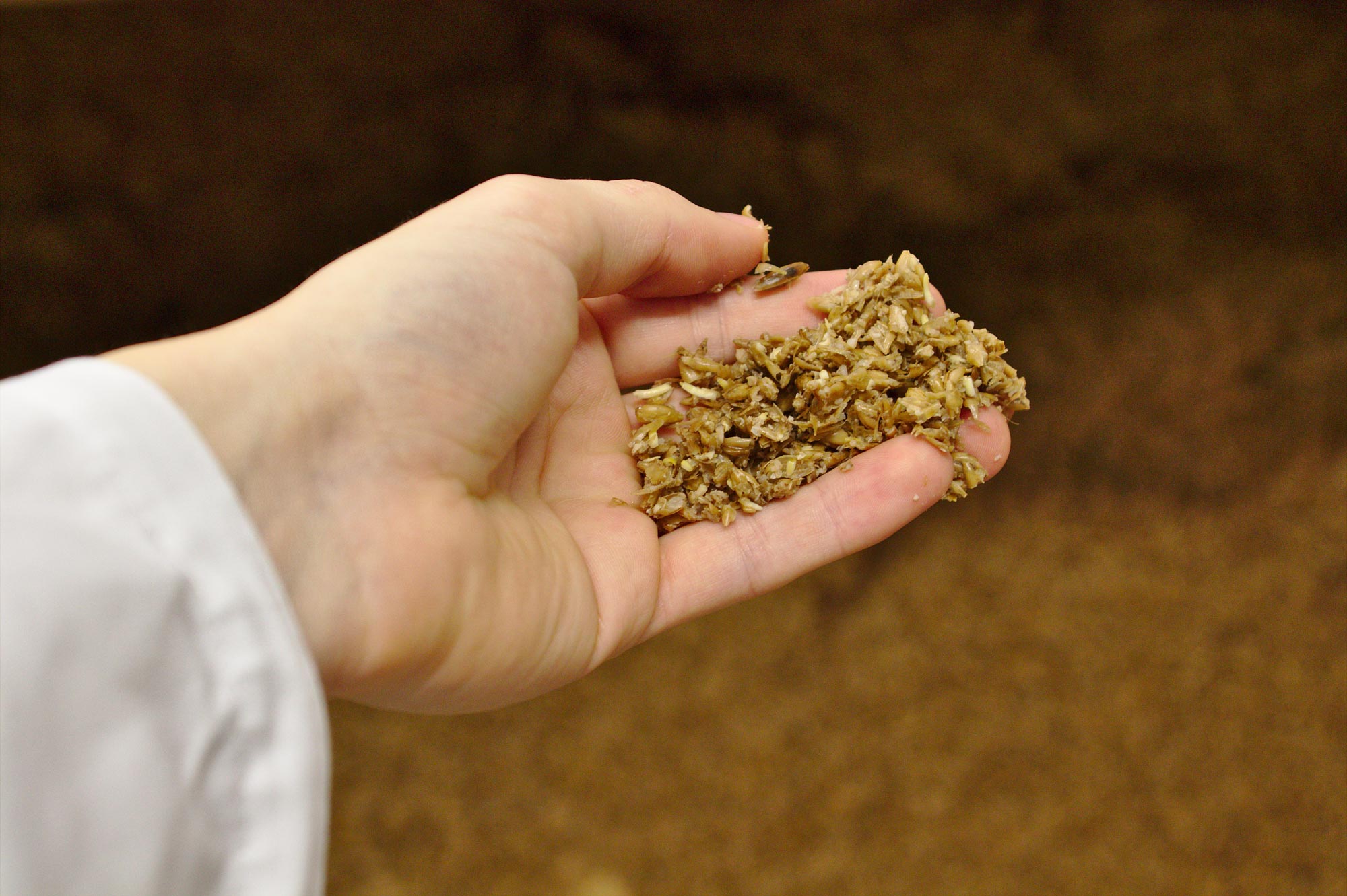 What Does ‘Upcycled’ Mean in Food? A Quick Guide